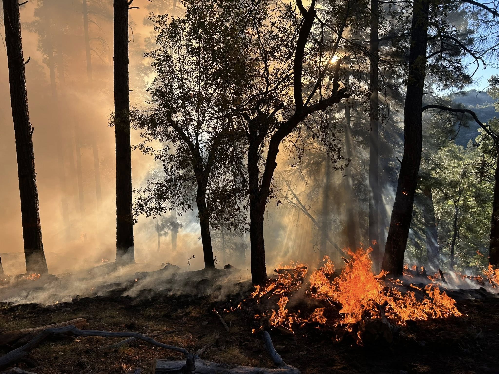Wildfire Breaks Out Near Walker - KYCA